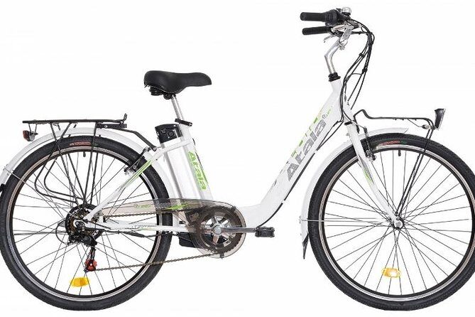 Full Day Venice E-Bike Rental