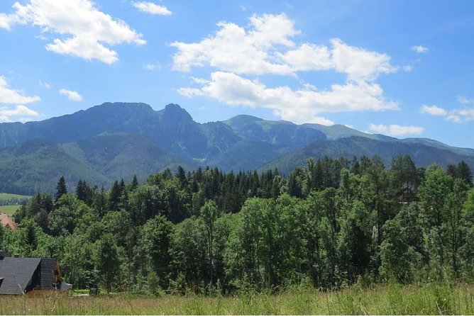 Full-Day Zakopane and Slovakia Treetop Walk From Krakow - Key Points