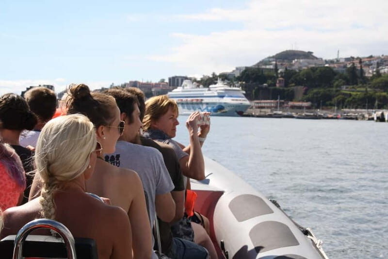 Funchal: Whale Watching and Swimming with Dolphins Cruise