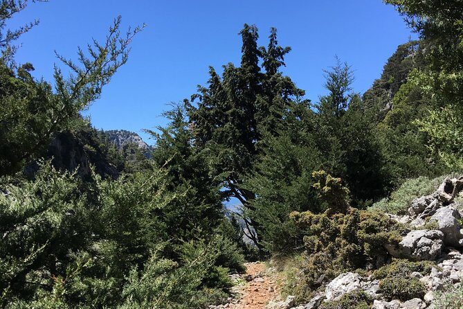 Fygou and Agia Irini Gorge Loop Half Day Hiking Tour