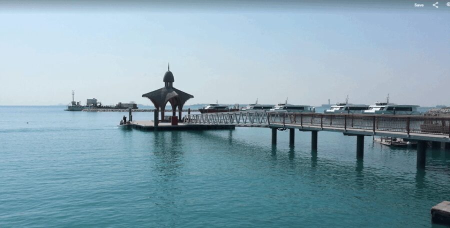 Gandía: History, Beach & Albufera Natural Park Private Tour