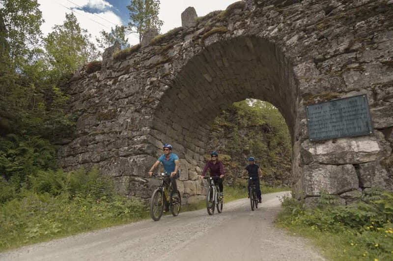 Geiranger Fjord: Downhill Self-Guided Bike Tour