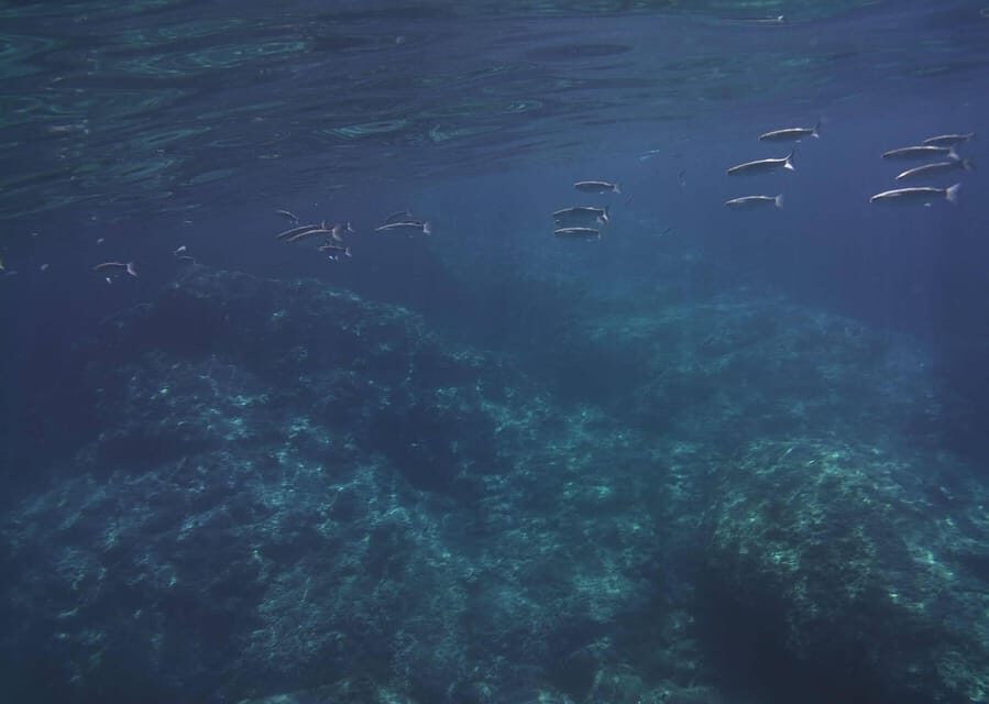 Giardini Naxos - Taormina 2 hours boat tour with snorkeling