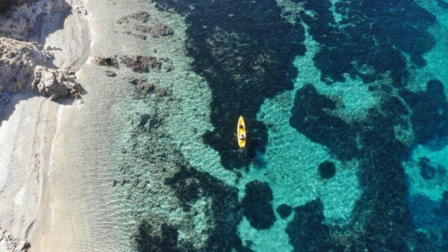 Golfo Aranci: Small group Kayak tour with Aperitif &dolphins