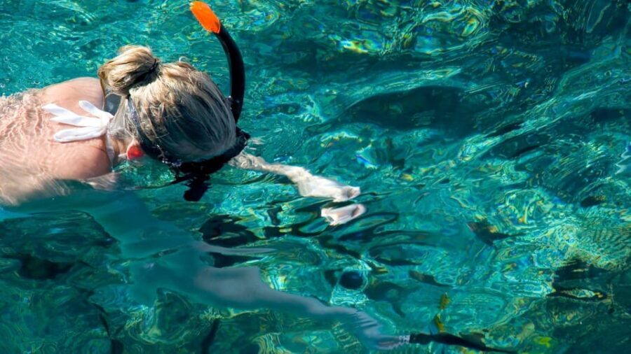 Golfo Aranci: snorkelling in Cala Moresca