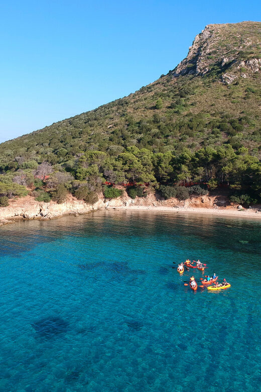 Golfo Aranci: Sunrise Dolphin Kayak Tour with Breakfast