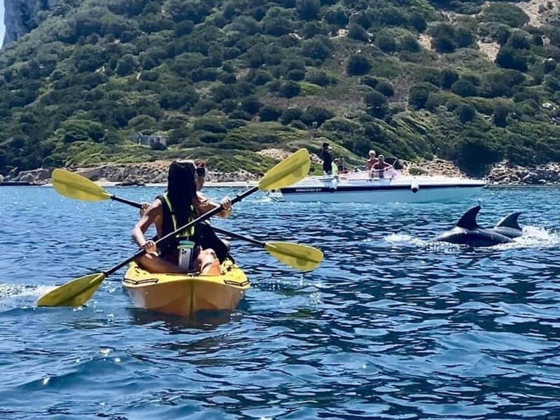 Golfo Aranci:Small group, german guided Kayak tour&Dolphins