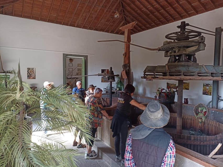 Gran Canaria: Highlights Wine Tasting Tour & shore excursion