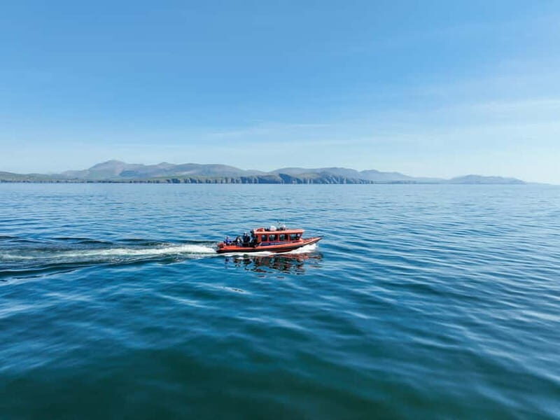 Great Blasket Island Wildlife Tour with Island Landing - The Value and Who Should Consider This Tour