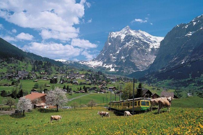 Grindelwald, Interlaken and Lauterbrunnen Day Trip from Lucerne - Transportation and Comfort