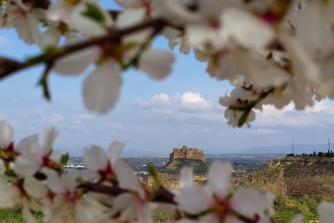 Guided tour of Monzón and the castle 3h. - An In-Depth Look at This Monzón Tour