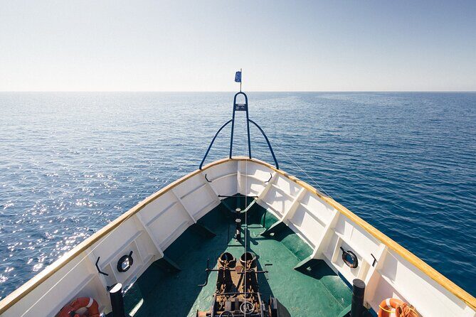 Half-Day Odyssey Guided Boat Safari with Lunch in Cyprus