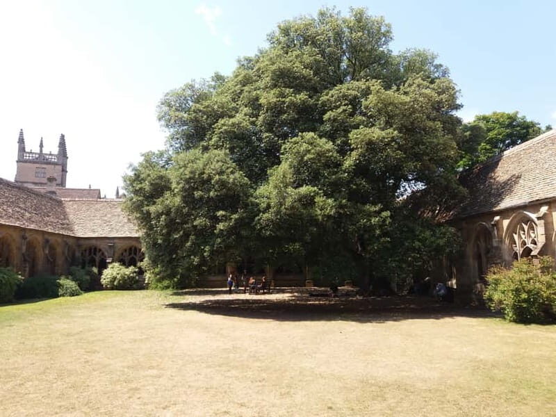 Harry Potter Private Tour New College & Divinity School - Why This Tour Works Well