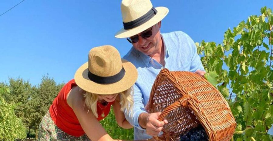 Harvest, Stomping & Tours - The Value of the Experience