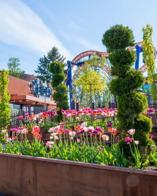 Helsinki: Linnanmäki Amusement Park - Authentic Visitor Insights