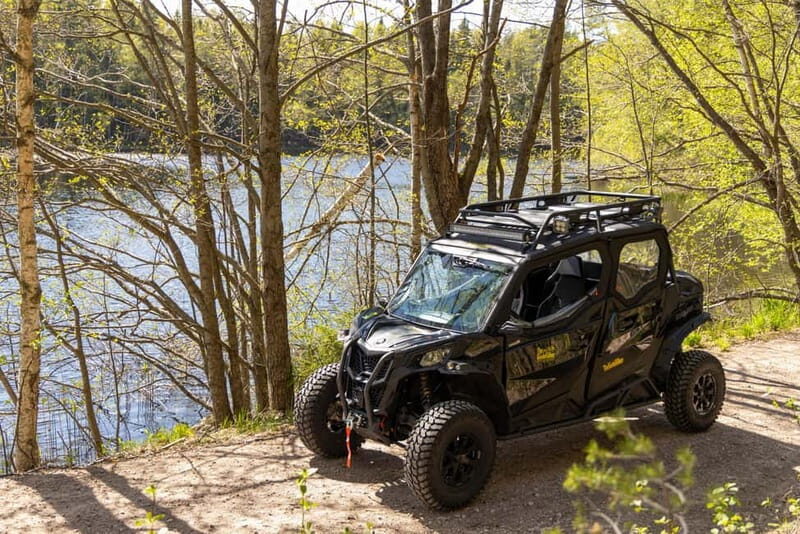 Helsinki: Reindeer Park visit and Buggy Adventure - An In-Depth Review of the Helsinki Reindeer and Buggy Experience