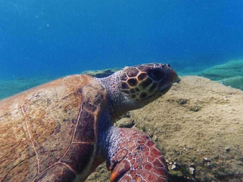 Heraklion: Beginner's intro dive w/2 Dives with transfer.