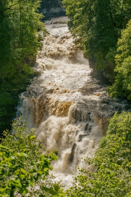 Hike World Heritage Reserve Waterfalls