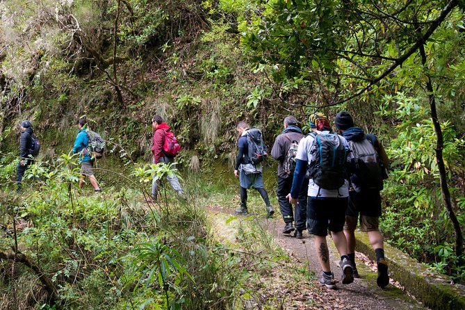 Hiking and Trekking tours in Madeira - Discover Madeira’s Levadas and Volcanoes with Ease