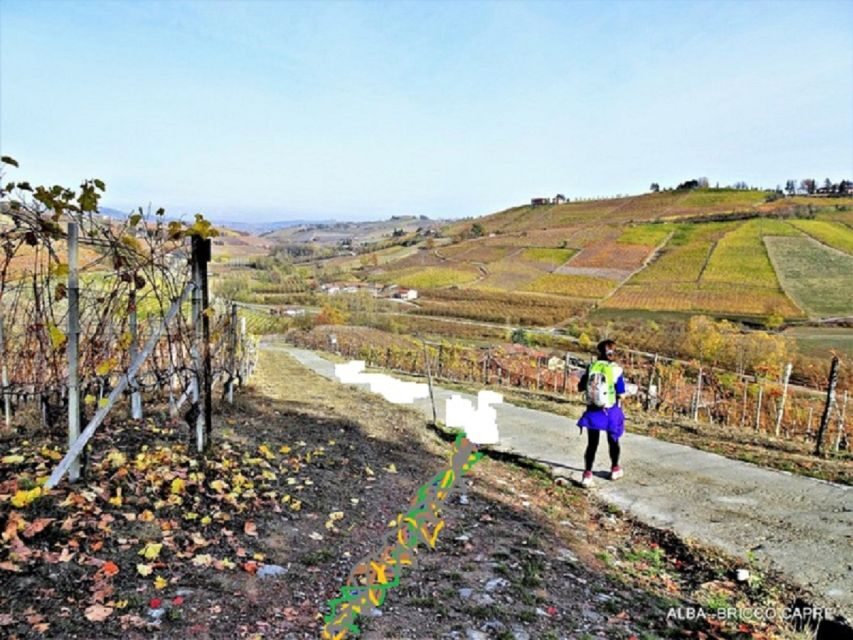 Hiking and wine tour starting from Alba