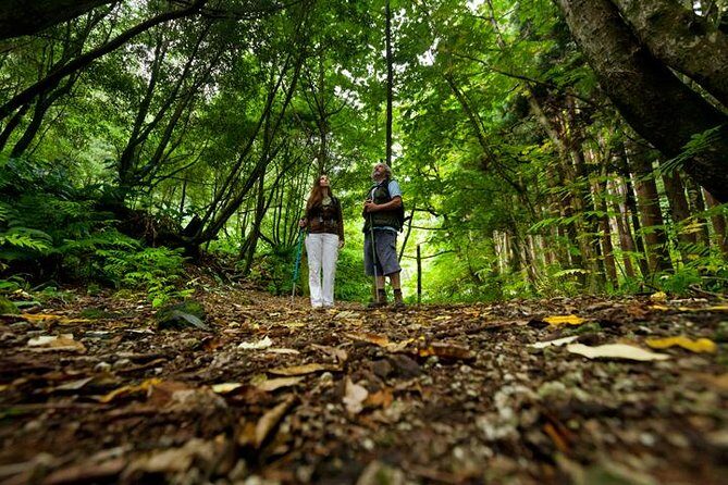 Hiking Faial da Terra + Van Tour Nordeste