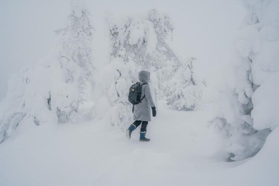 Hiking in Riisitunturi National Park with Photographer
