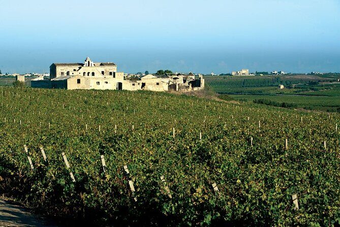 Historic winery visit with food and wine tasting in Marsala