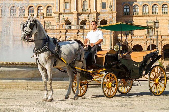 Horse and Buggy Ride in Seville with guide - Why Travelers Rave About It