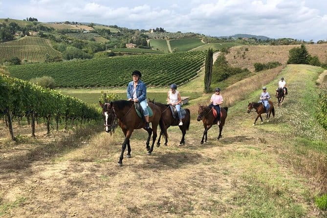Horseback Ride in S.Gimignano with Tuscan Lunch Chianti Tasting