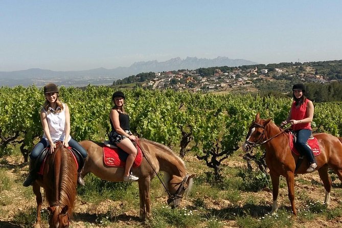 Horseback Ride, Penedes, Wine Tasting & Tapas Private Tour - A Closer Look at the Horseback Ride, Penedes, Wine Tasting & Tapas Private Tour