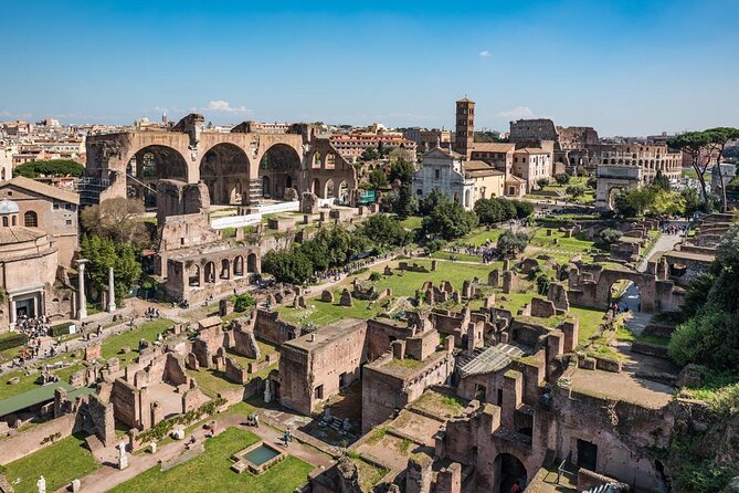 Houses of Augustus and Livia Private Tour with Roman Forum and Palatine Hill - The Experience at a Glance