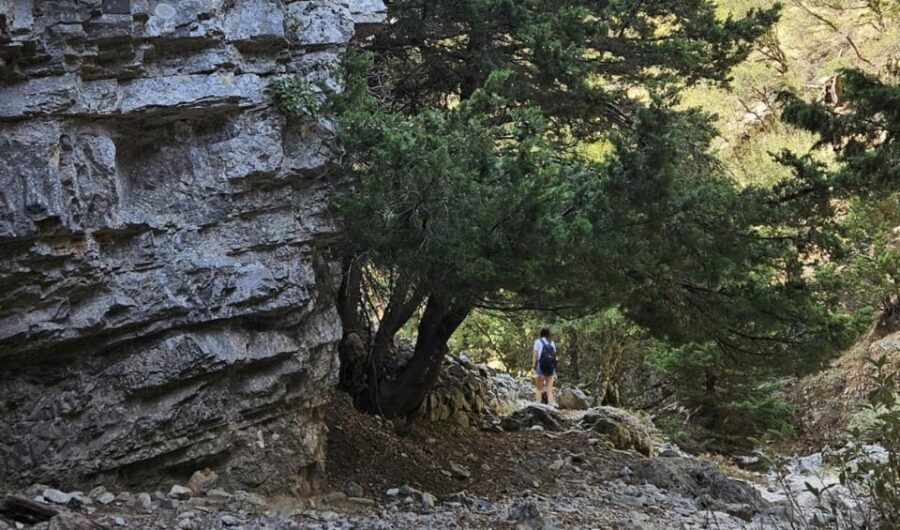 Imbros Gorge: Walk the Trail, Live the Story Private Tour