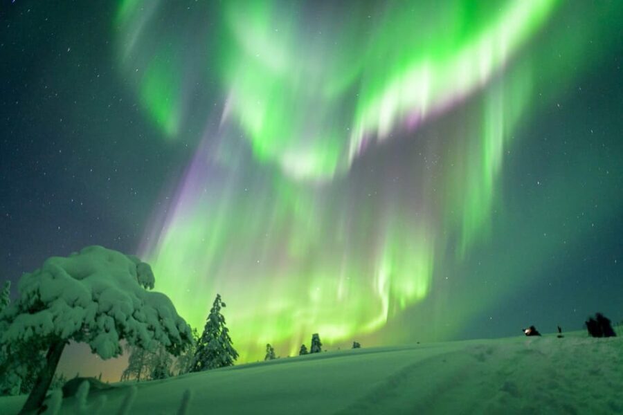 Inari: Northern Lights Hunt Snowmobile Safari