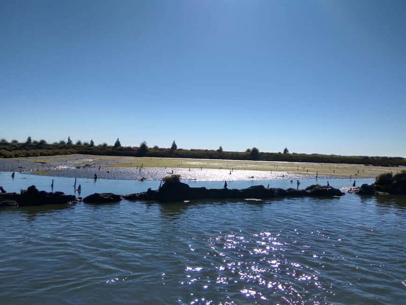 Industry or Nature Boat Tour | Speedboat