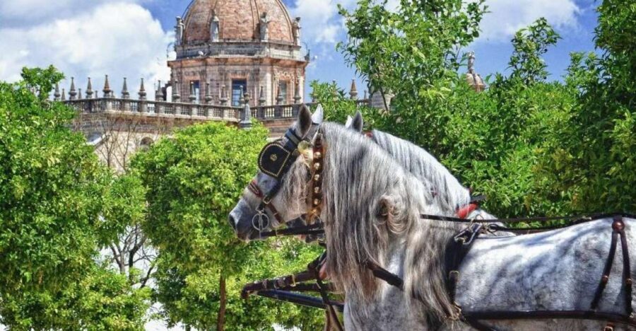 Jerez: Historic Center Guided Tour