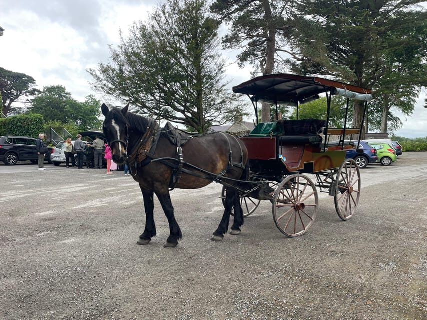 Killarney National Park Jaunting Car Tour