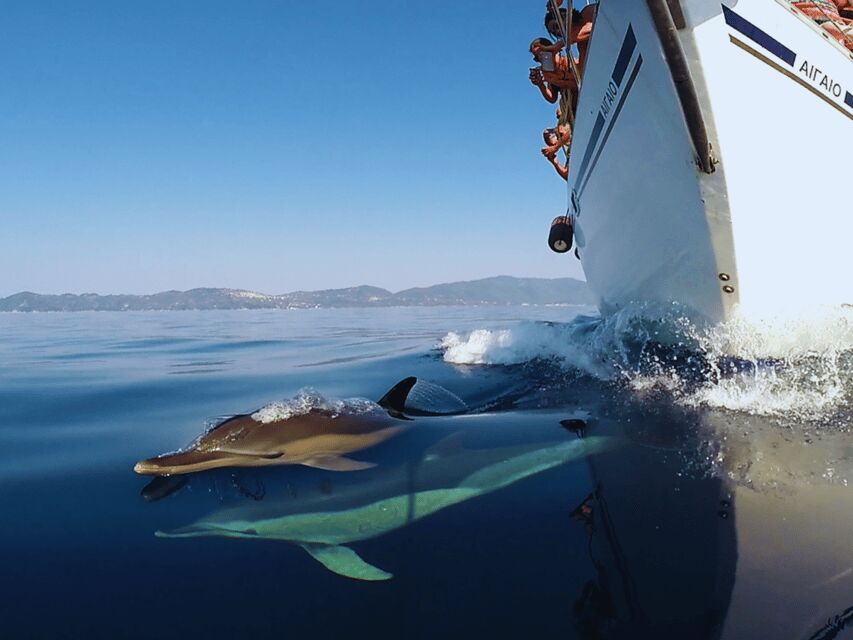 Kos: Small Group Full-Day Sailing with Meal, Drinks, & Swim