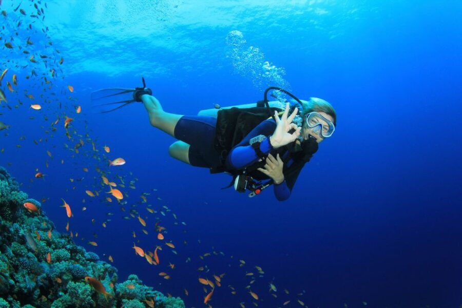 Kusadasi: Diving Experience with Lunch and Transfer