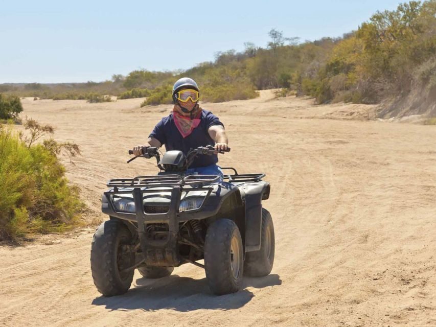Kusadasi: Guided Quad Biking Tour