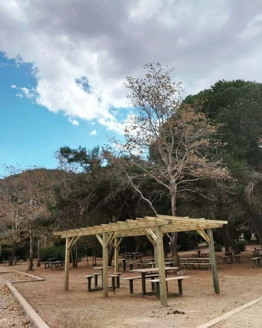 Kusadasi National Park Shinrin Yoku Tour
