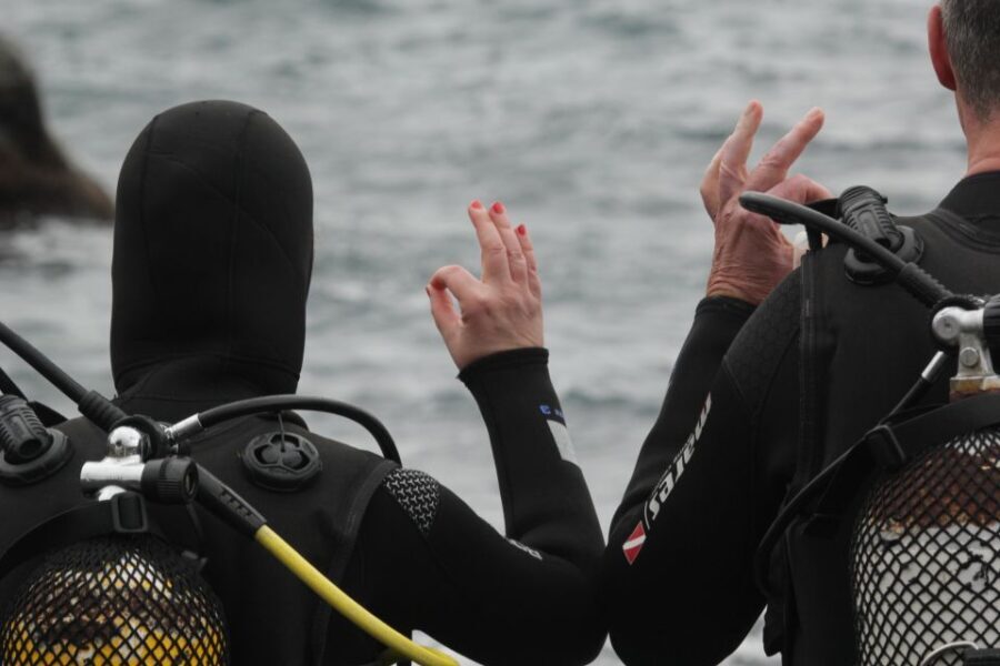 La Palma: Basic Diver Certification with 2 Atlantic Dives - Introduction