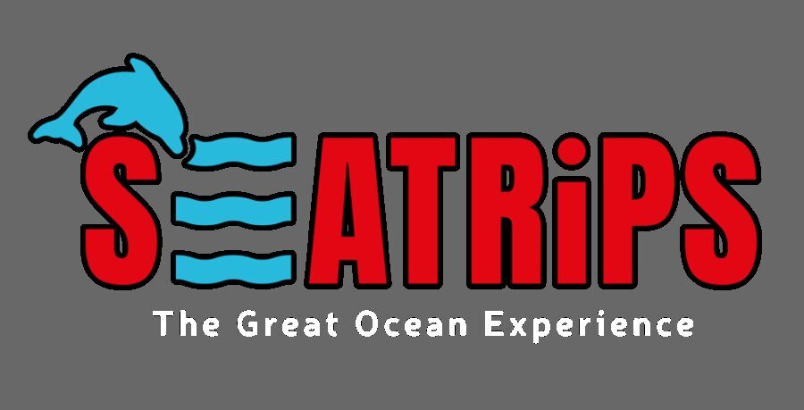 Lagos: Dolphin & Benagil Tour with Marine Biologist