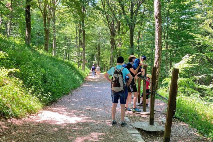 Lake Como: half-day hike in dolomitic mountains over Lecco
