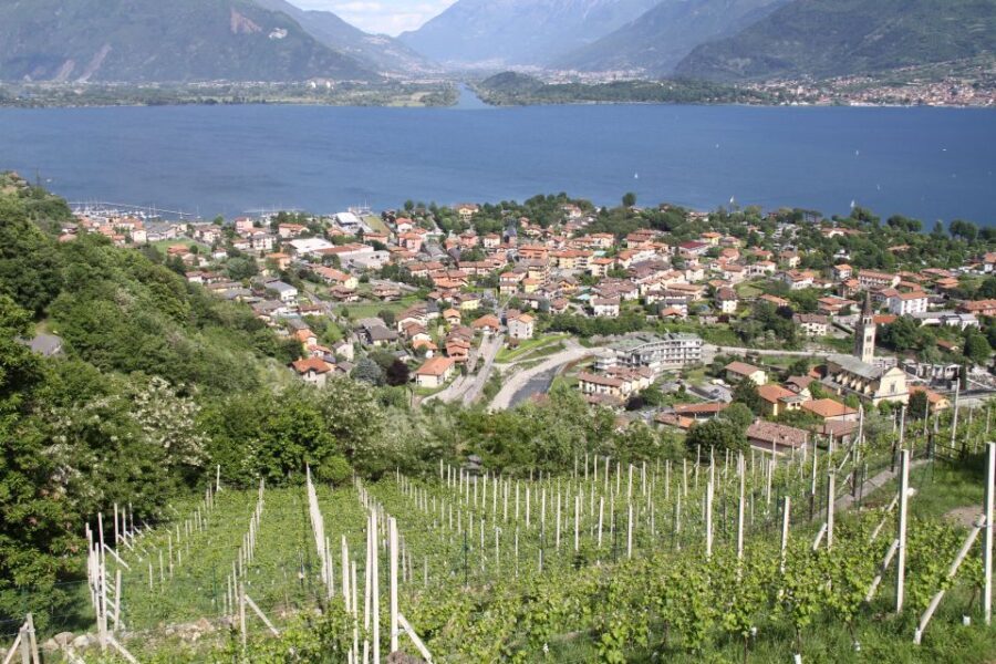 Lake Como: Winery Tour with Wine Tasting