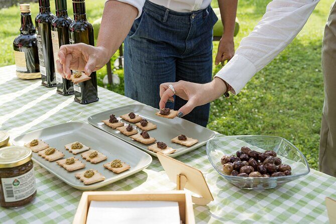 Lake Garda Olive Oil Tour and Tasting Experience - Exploring the Lake Garda Olive Oil Tour and Tasting Experience