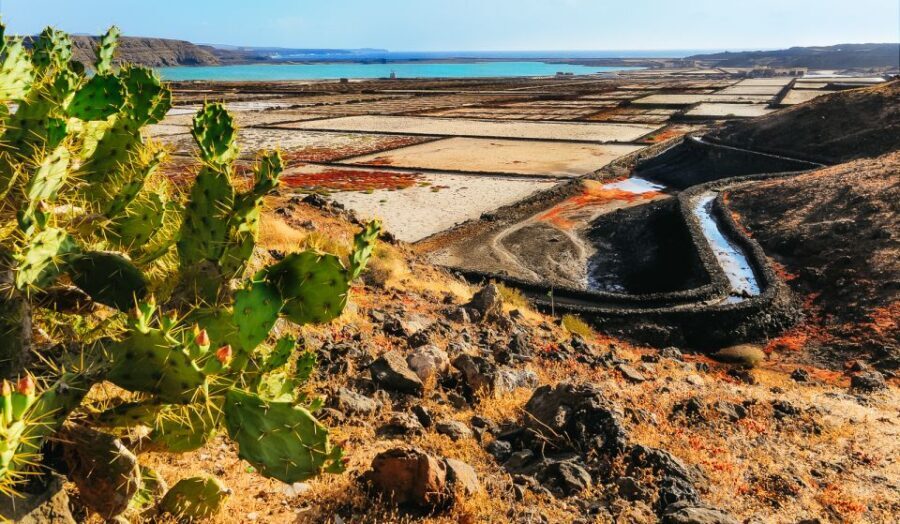 Lanzarote: Volcanos of Timanfaya and Caves Tour with Lunch