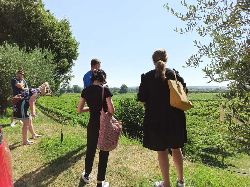 Lazise: Winery Tour with Garda Wines and Food Tasting - An In-Depth Look at the Tour