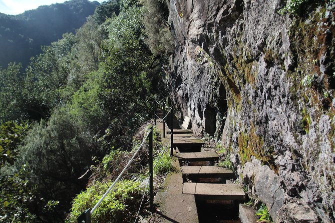 Levada do Rei - Ribeiro Bonito (Full Day Walk) - Why This Tour Stands Out