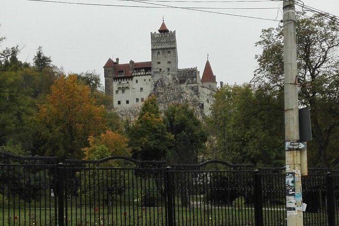 LiBEARty - the Brown Bear Sanctuary from Zarnesti - Exploring the Tour in Detail