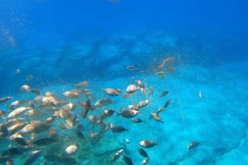 Lindos: Submarine Cruise with Swimming Stop at Navarone Bay - Practical Details and Value